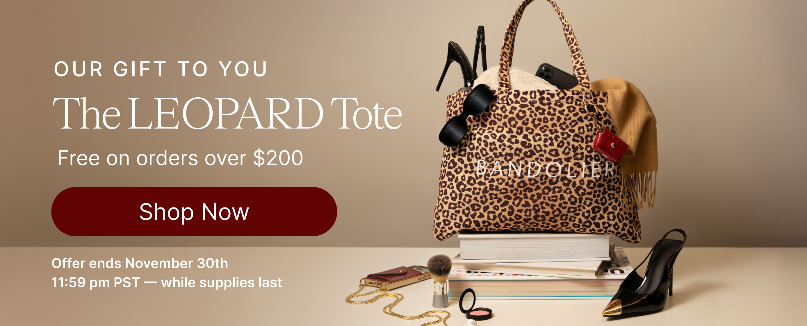 FLASH SALE! 50% off Dillon Bags – Bandolier